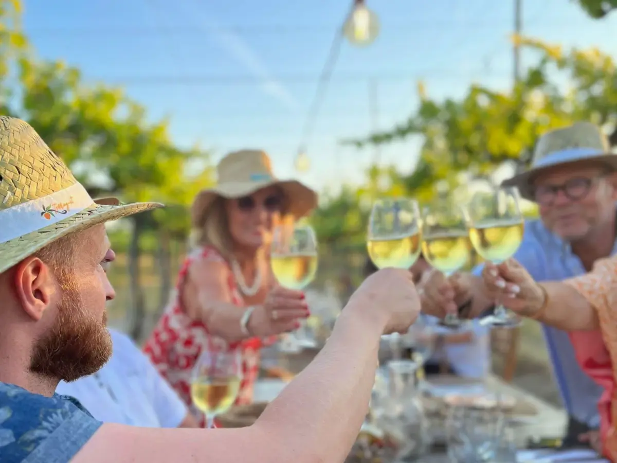 Taste & Travel Mallorca: Viajes a medida en Mallorca